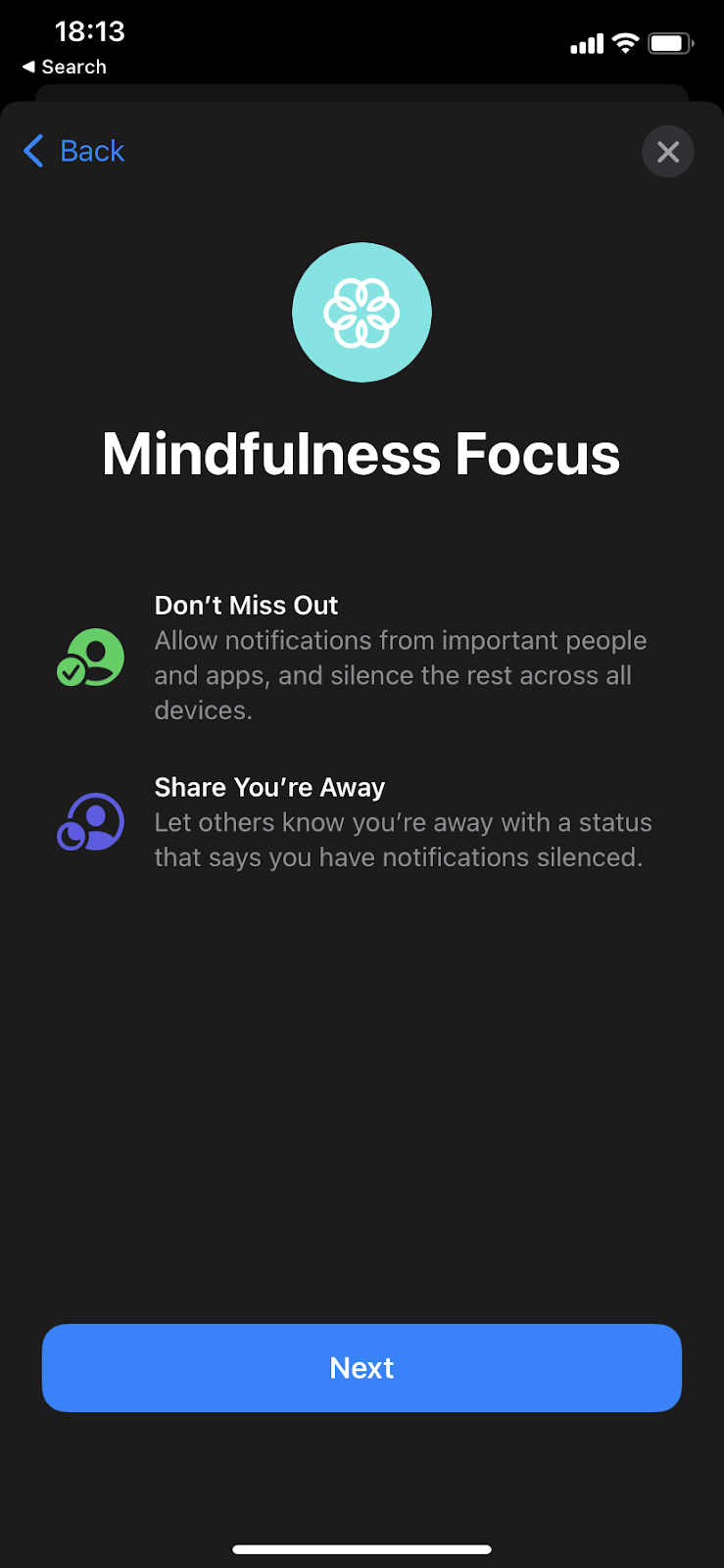 Review: Focus mode (iOS 15 feature for iPhone / iPad) ~ mindful.technology
